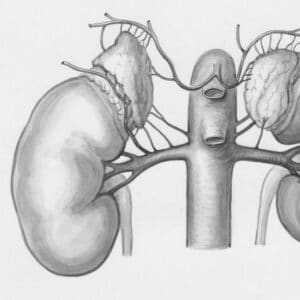 Urografía por tomografía computarizada o UROTAC